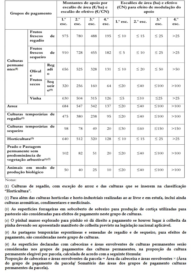Regras e Informações Básicas - IFAP