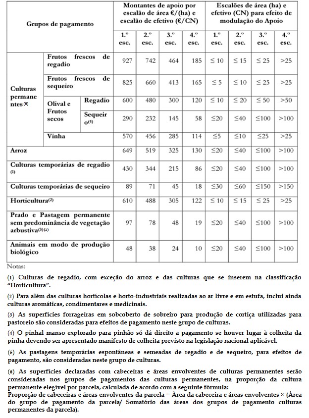 Regras e Informações Básicas - IFAP